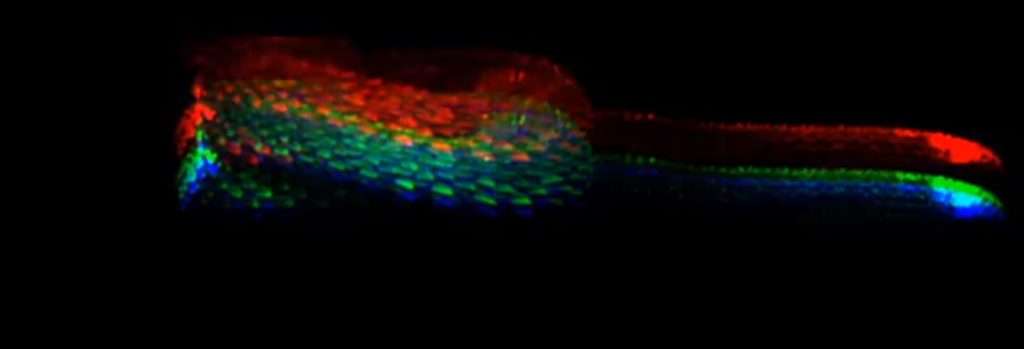 Taylor Swift Shares Second Lengthier & More Focused Snake Video ...